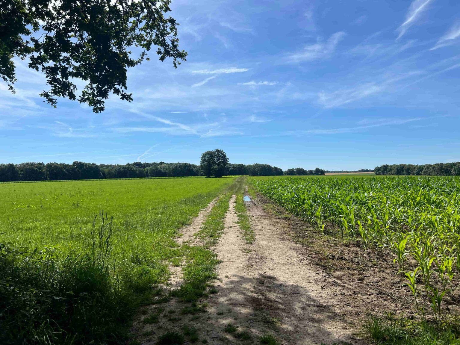Better Places | Wandel-Vakanties.nl Better Places | Wandel-Vakanties.nl